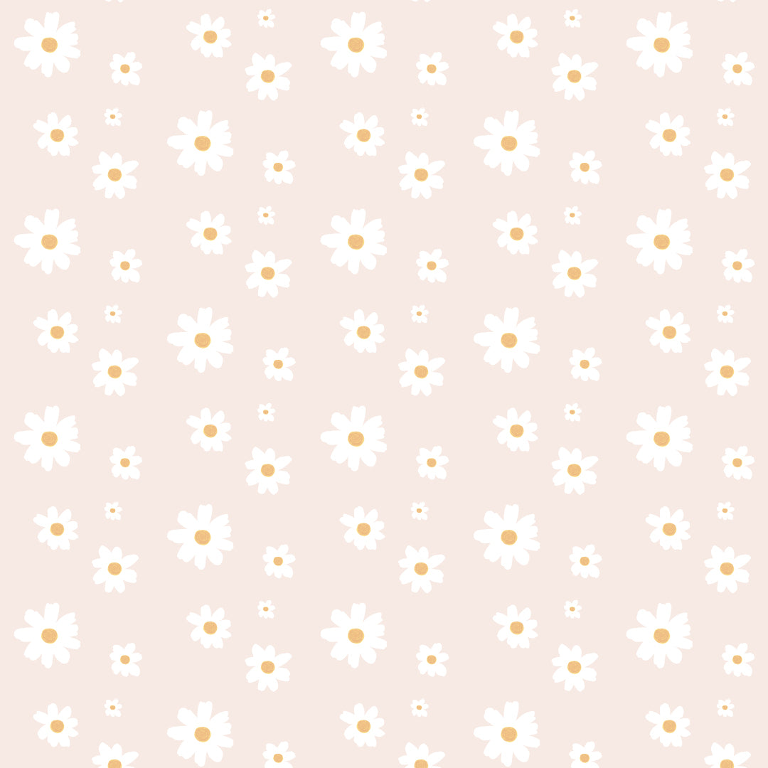 Pink Daisies Wallpaper